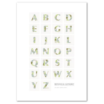 Botanical Alphabet Poster - Buy Online Or Call (03) 8774 2139
