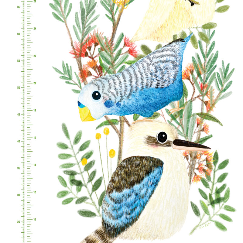 Native Birds Height Chart Decal - Buy Online Or Call Us